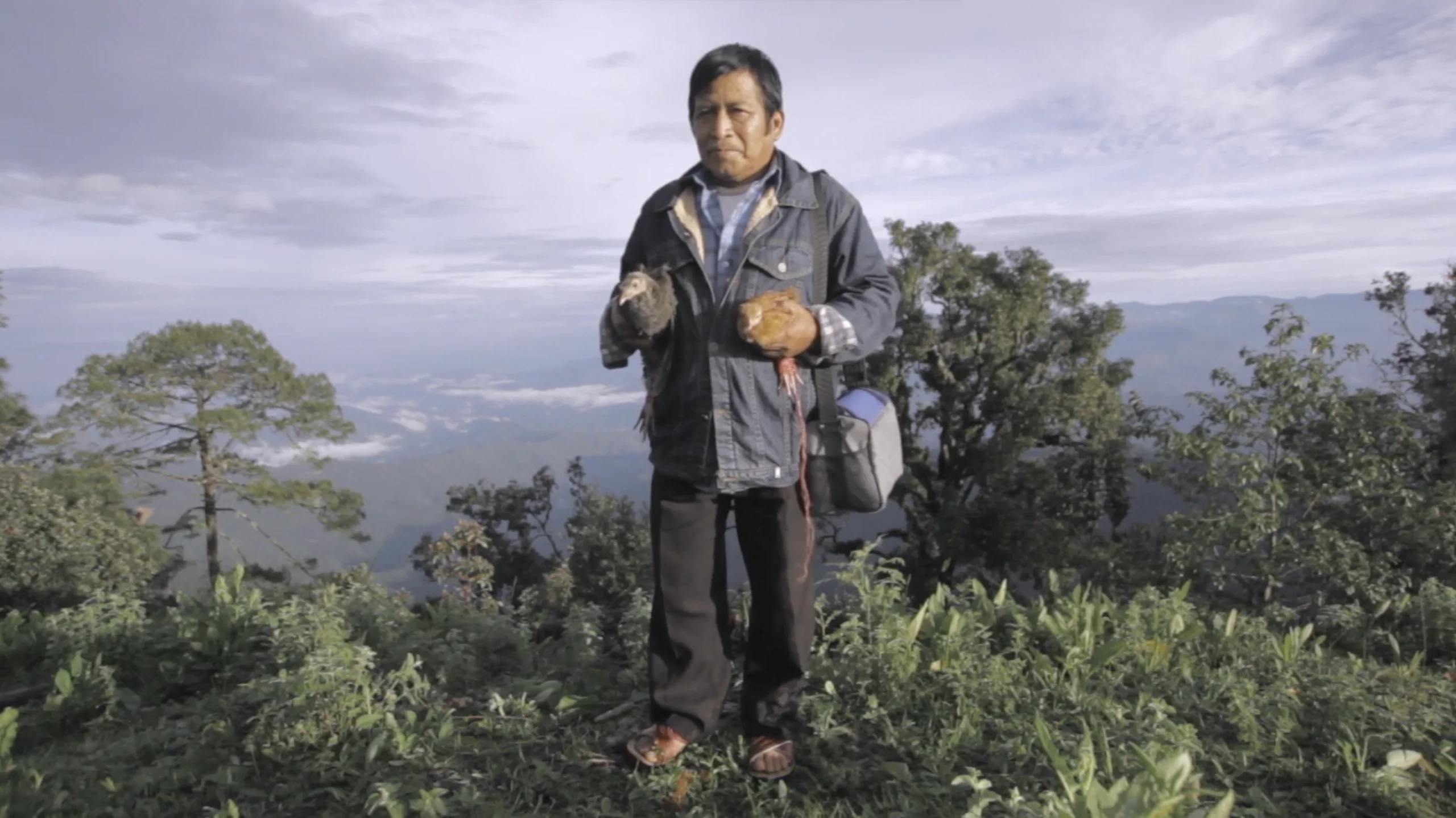 Júba Wajín, Resistencia en la montaña de Guerrero - MULLU TV